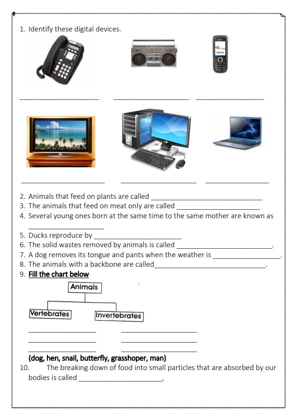 Grade 4 Science and Technology End of Term 1 Exam 2024 - 2191