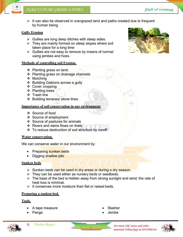 Grade 6 Agriculture CBC Notes - 11241