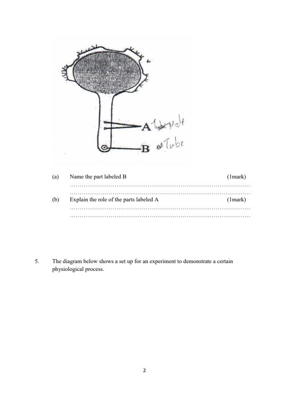 Form 3 Biology Paper 1 Sample Exam Paper With Answers - 11328