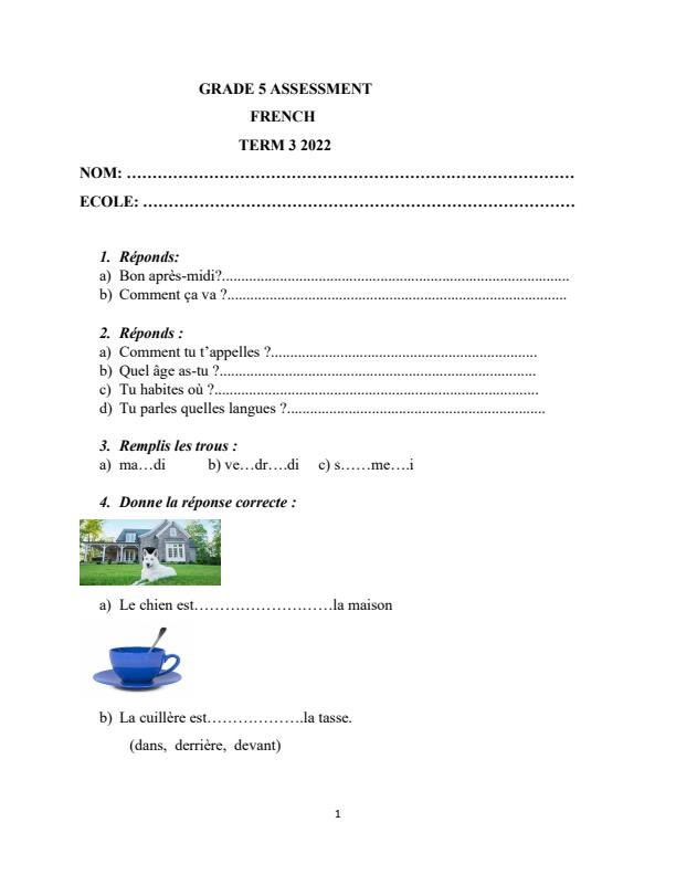 Grade 5 French Assessment Test Term 3 2021 - 11521