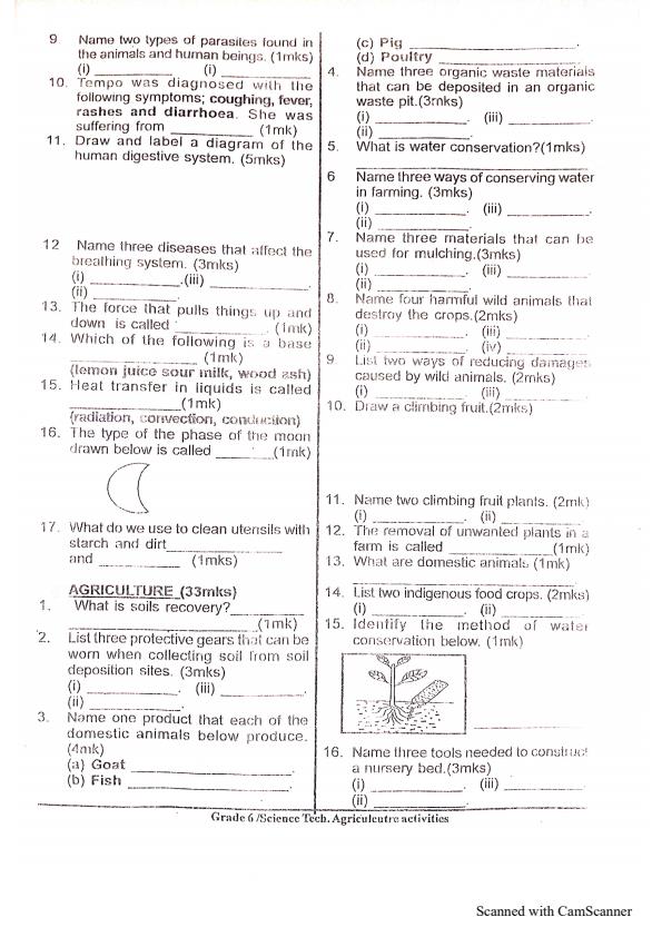 CBC Grade 6 End term 1 Exam/Assessment Test - 11597