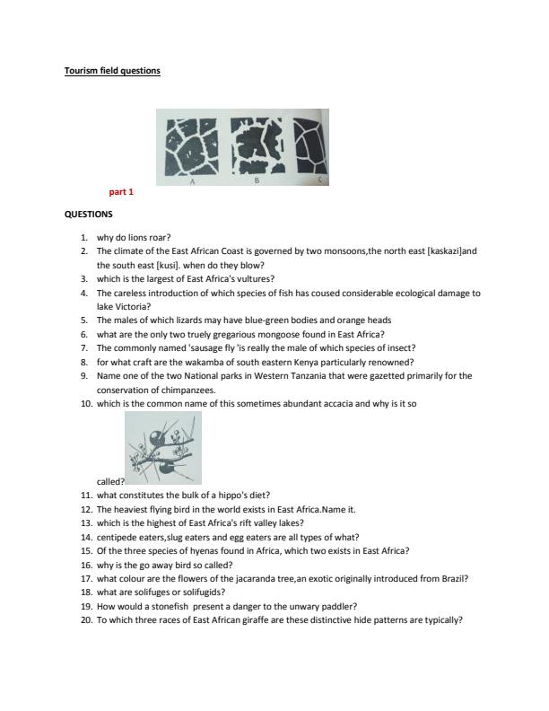 Sample tourism field guide questions with answers - 5774