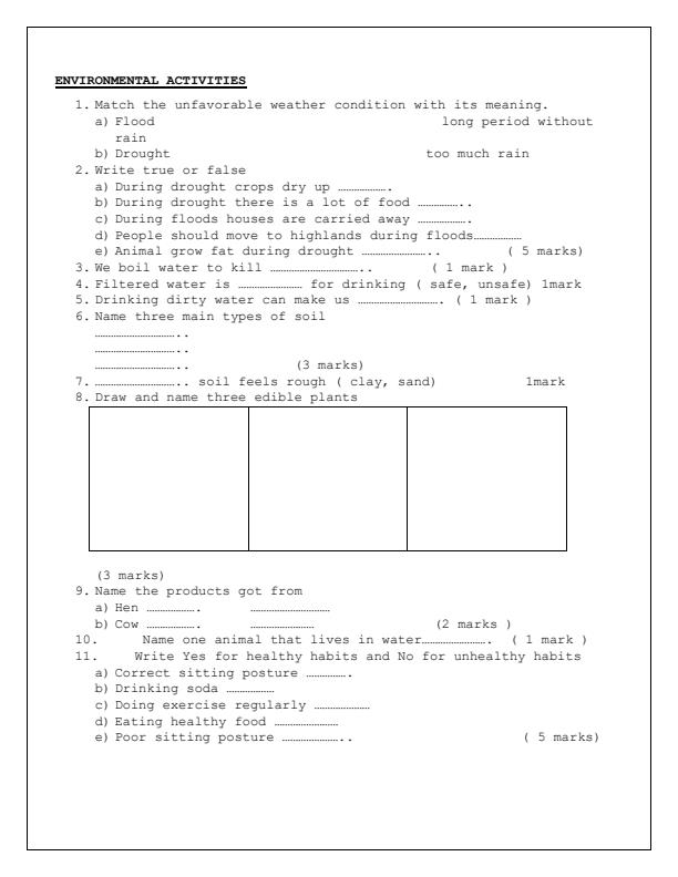 Grade 3 August 2025 Holiday Assignments - Set - 18576