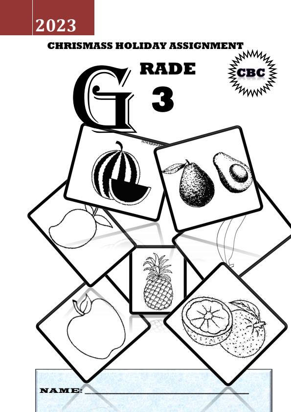 Grade 3 December Holiday Assignments 2023 Set 2 - 15196