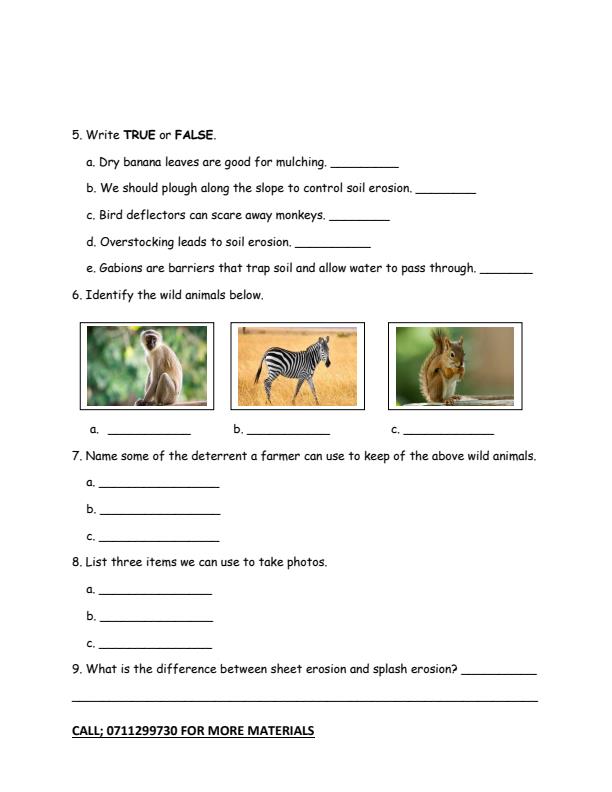 Grade 6 April Holidays Assignments - 13724