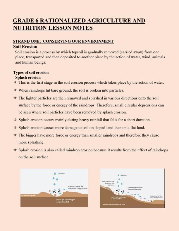 Grade 6 Rationalized Agriculture and Nutrition Lesson Notes - 15548