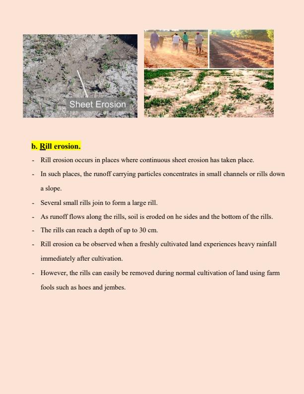 Grade 6 Rationalized Agriculture and Nutrition Lesson Notes - 15548