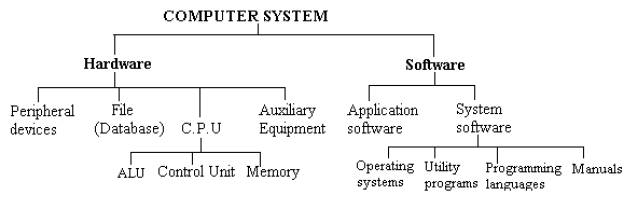 Describe the functional organization of the elements of a computer system.